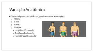 Introdução à anatomia - Monitoria I.pptx