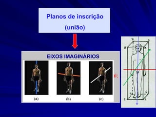 INTRODUÇÃO À ANATOMIA.ppt