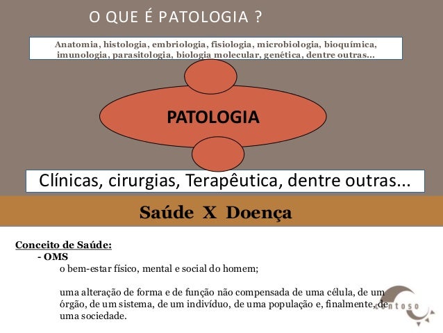 Introdução e divisões da patologia