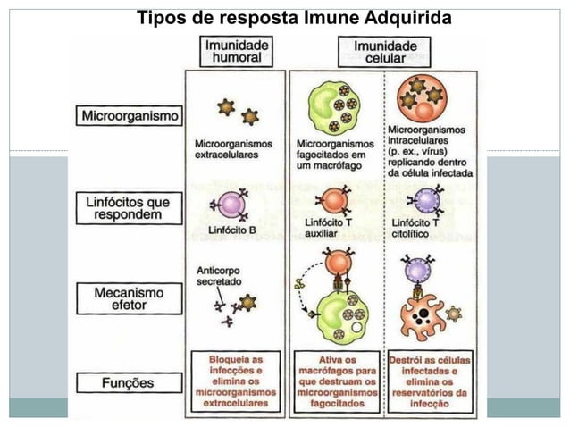 Introdução à imunologia | PDF