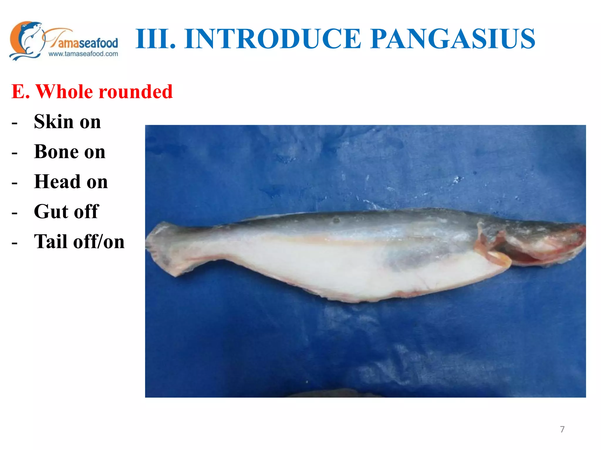 Introdution of pangasius | PDF