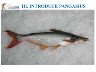 Introdution of pangasius | PDF