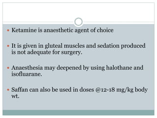 Anaesthesia in wild and laboratory animals | PPT