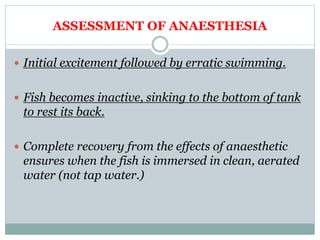 Anaesthesia in wild and laboratory animals | PPT