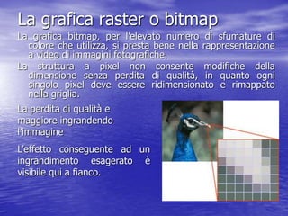 Introduzione alla grafica | PPT