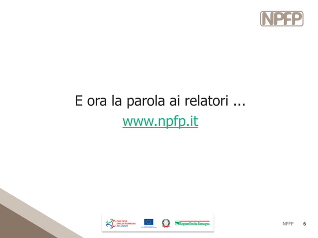 Introduzione al progetto NPFP | PDF | Mechanical and Industrial ...