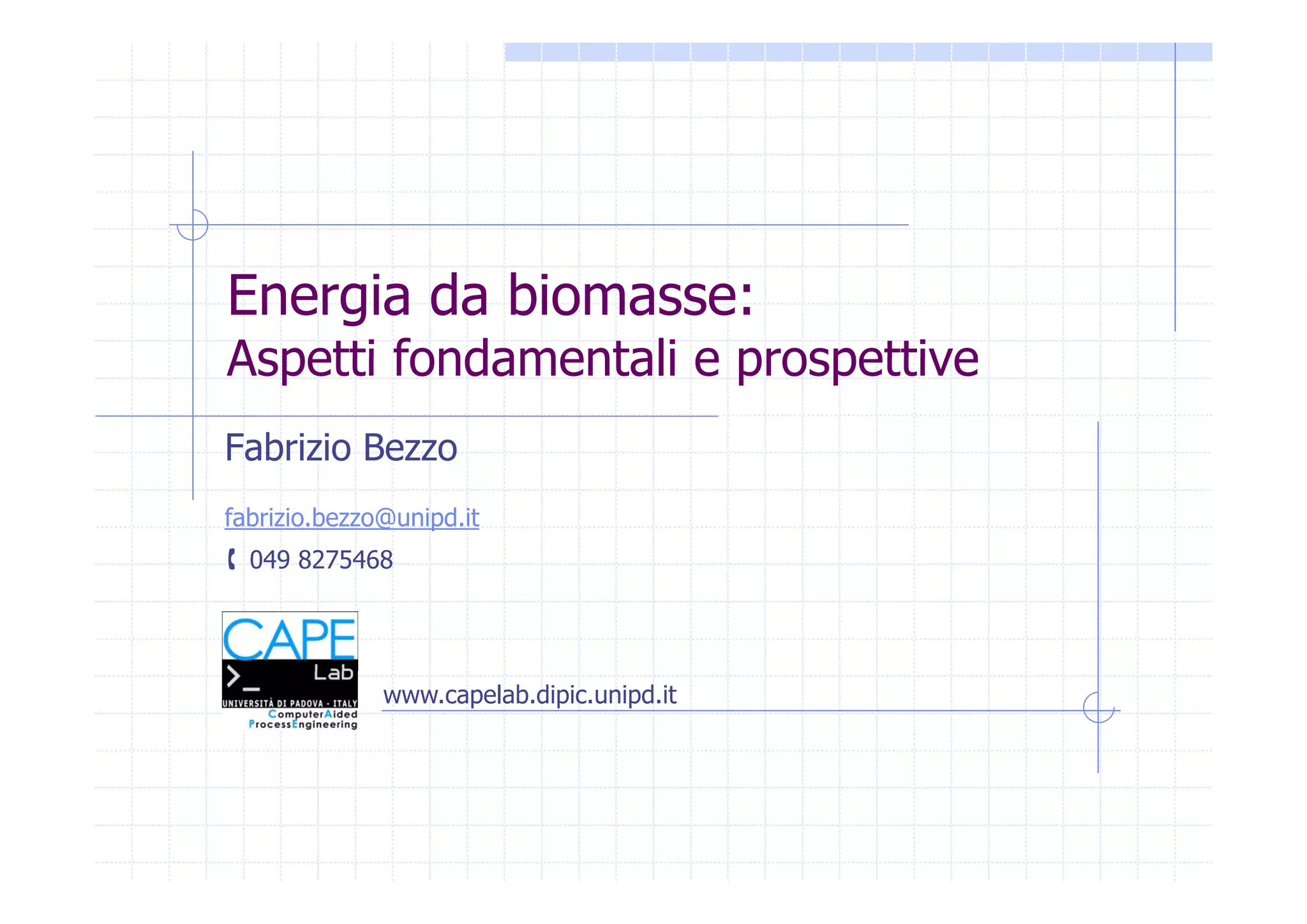 Bezzo - energia biomassa | PDF