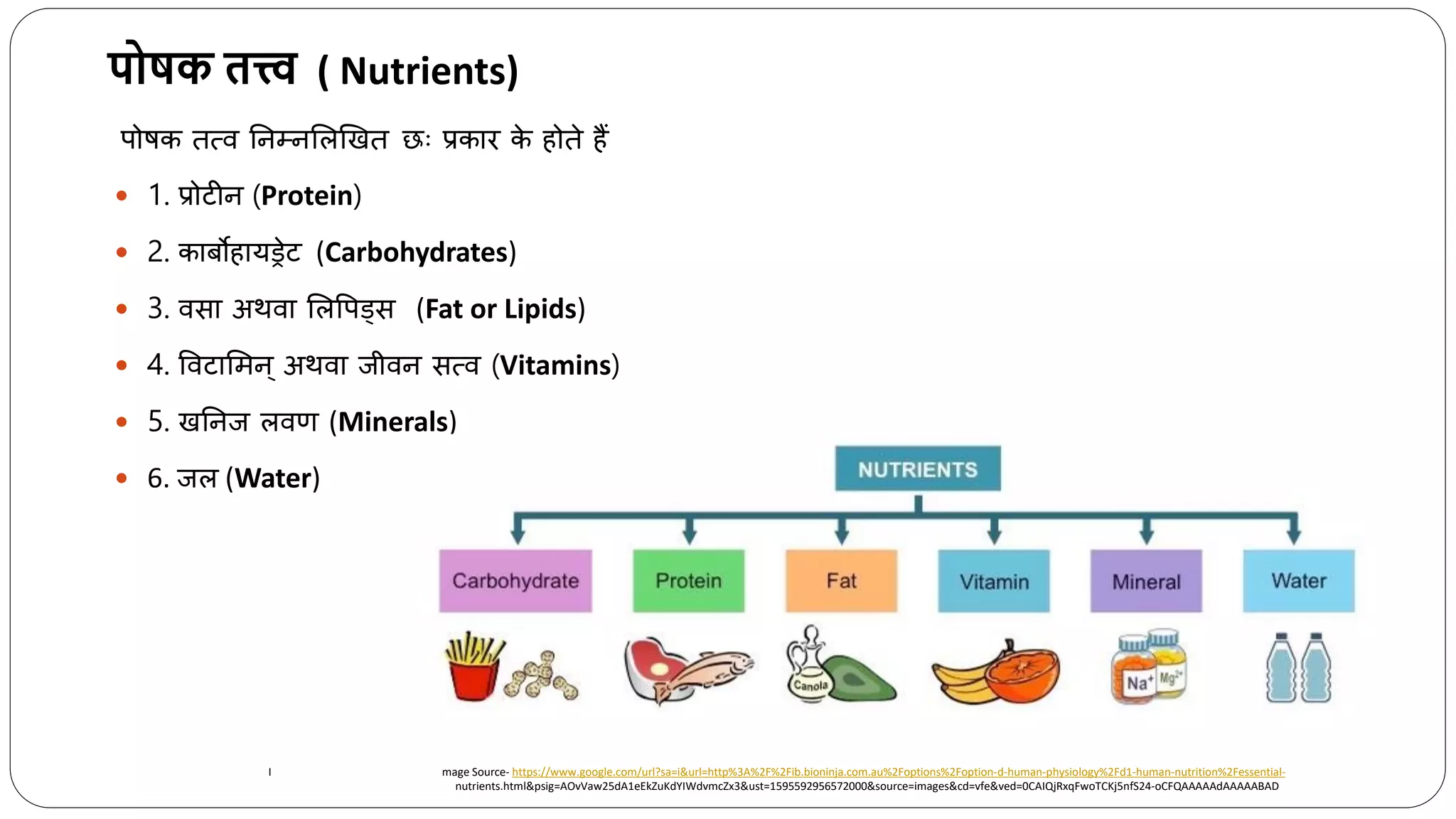 Introduction - Food & Nutrition | PDF