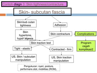 Intro ft musculo_i | PPT