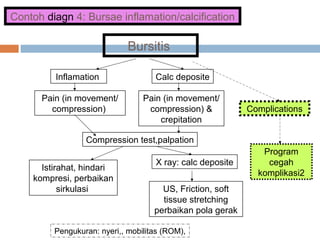Intro ft musculo_i | PPT