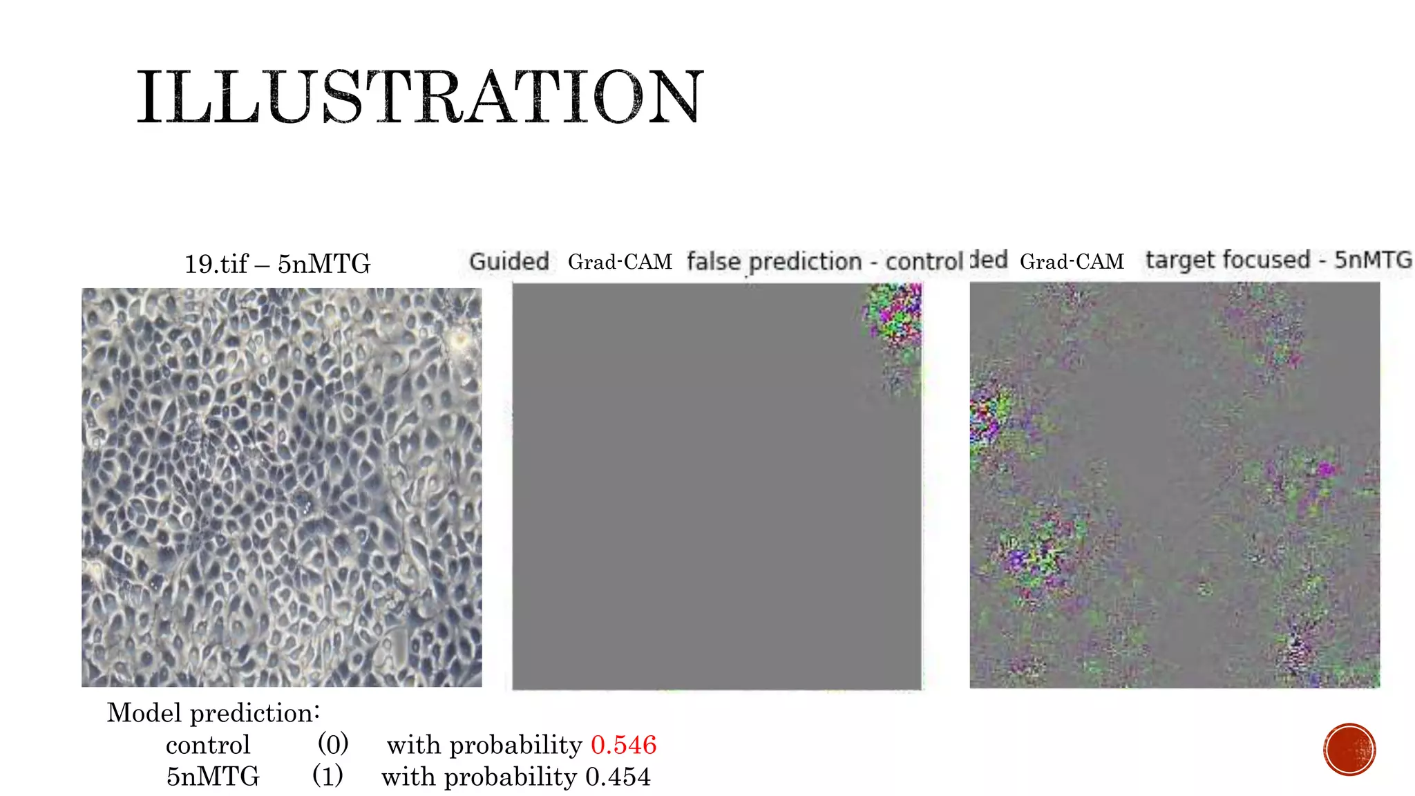 Introduction to Grad-CAM (complete version) | PPTX