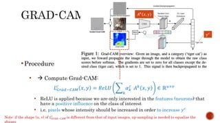 Introduction to Grad-CAM (complete version) | PPTX