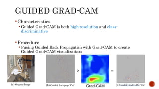 Introduction to Grad-CAM (complete version) | PPTX