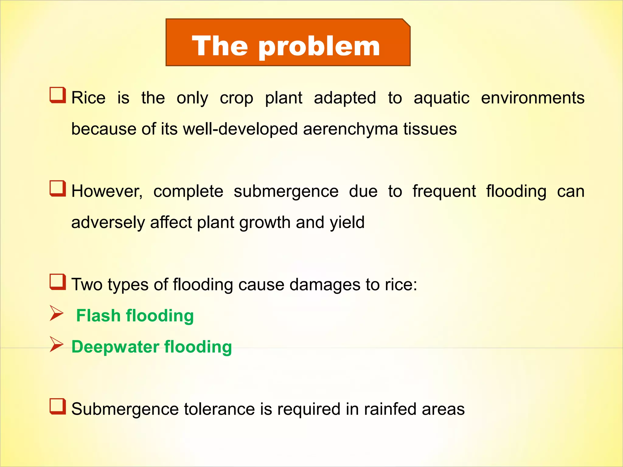 Introgression Breeding For Rice Submergence Tolerance Geetanjali Ppt