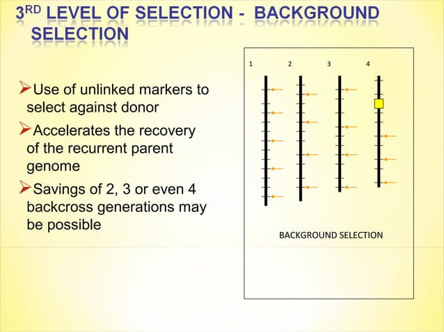 Introgression breeding for rice submergence tolerance_geetanjali | PPT