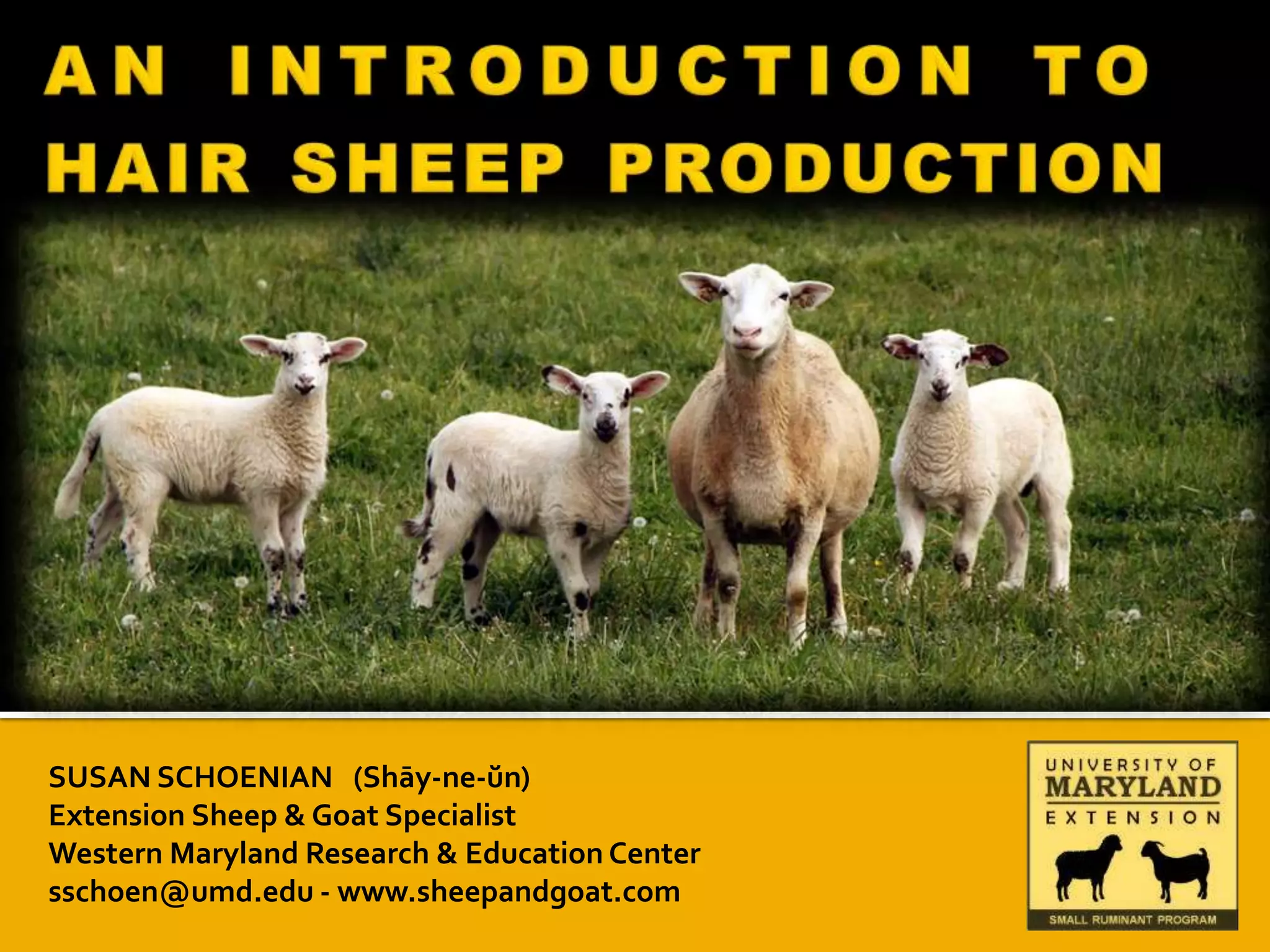 Introduction to Hair Sheep Production | PPTX | Dogs | Pets