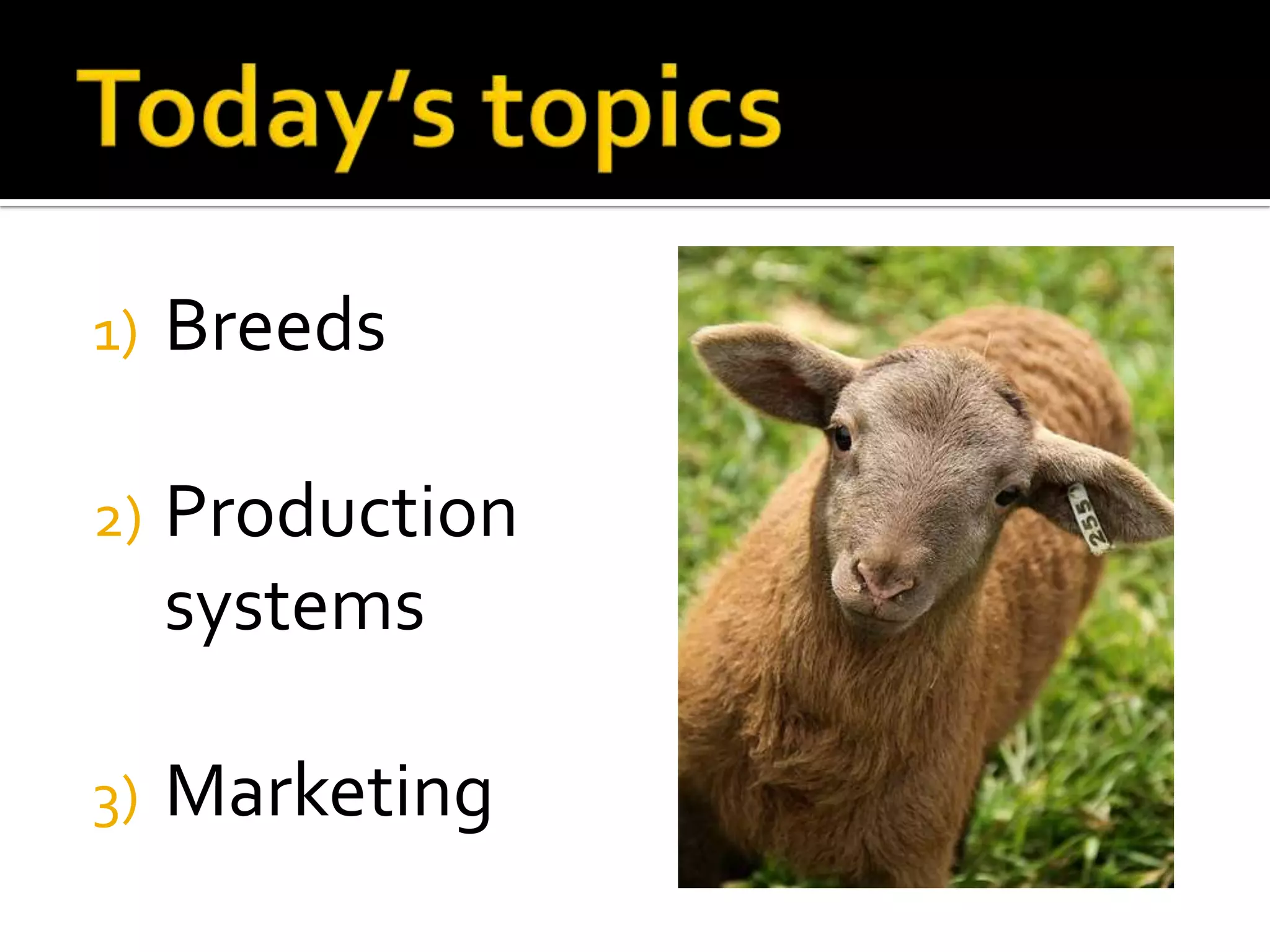 Introduction to Hair Sheep Production | PPTX | Dogs | Pets
