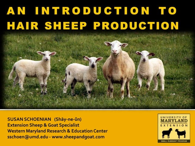 Introduction to Hair Sheep Production | PPT