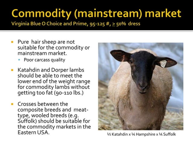 Introduction to Hair Sheep Production | PPT