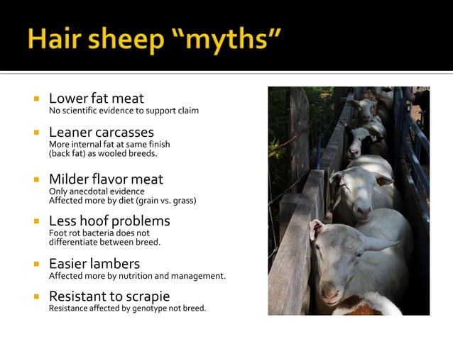 Introduction to Hair Sheep Production | PPT