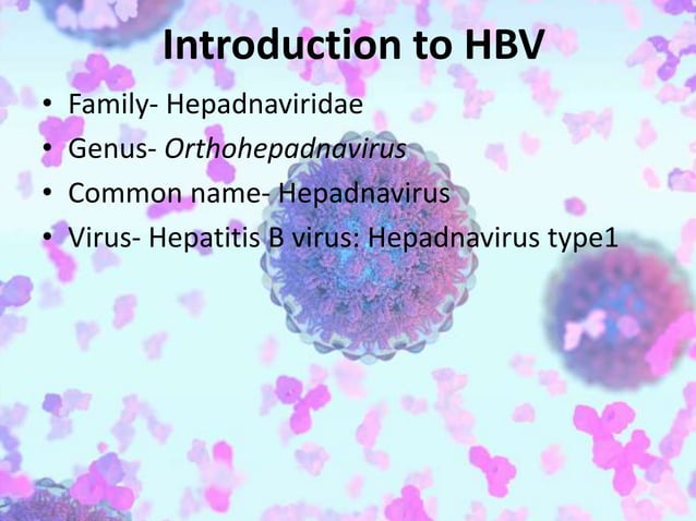 Hepatitis B virus - HBV - Introduction | PPT
