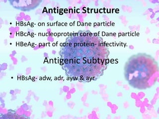 Hepatitis B virus - HBV - Introduction | PPT