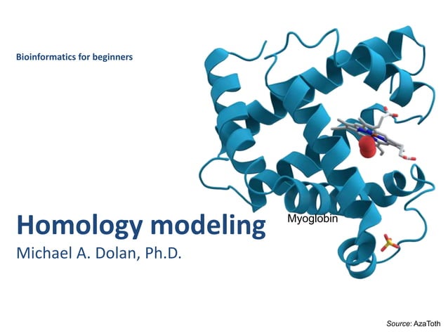 Intro to homology modeling | PPTX | Chemistry | Science