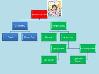 Intro, hpa and sam | PDF