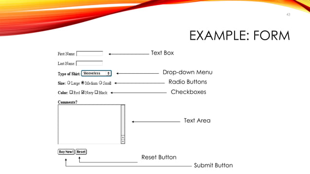 Introduction To Html Programming For Webpagespdf