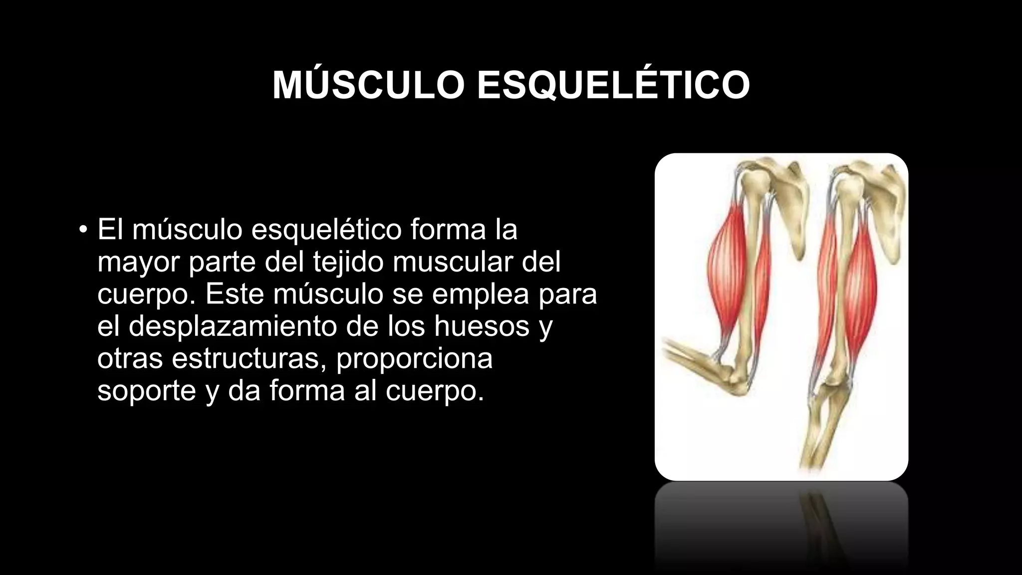 Introducción al estudio de los huesos y músculos humanos. | PPTX