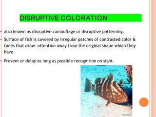 INTRO ICHTHYOLOGY 304.ppt