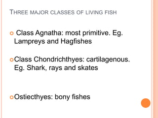 INTRO ICHTHYOLOGY 304.ppt