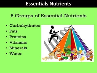 Intro into clinical nutrition lecture 1.pdf