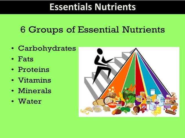 Intro into clinical nutrition lecture 1.pdf