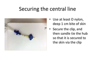 CVC Workshop (short) | PPTX | Blood Disorders | Diseases and Conditions