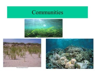 Intro marine ecology_power_point (1) | PPT