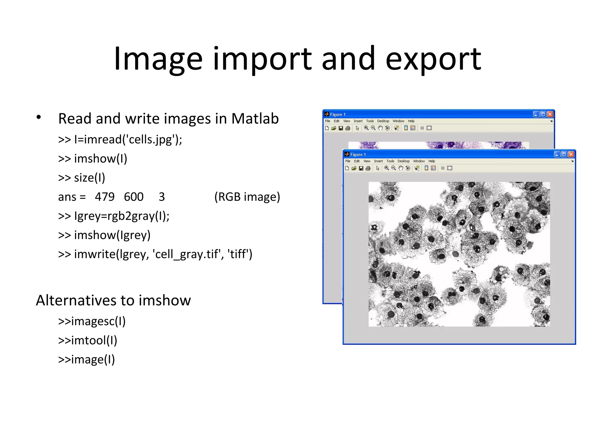 Intro matlab and convolution islam | PPT