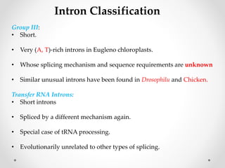 The Role of Introns in Genetic Regulation | PPTX