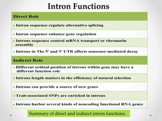 The Role of Introns in Genetic Regulation | PPTX