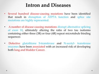 The Role of Introns in Genetic Regulation | PPTX