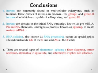 The Role of Introns in Genetic Regulation | PPTX