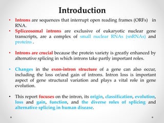 The Role of Introns in Genetic Regulation | PPTX
