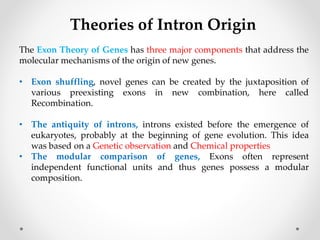 The Role of Introns in Genetic Regulation | PPTX