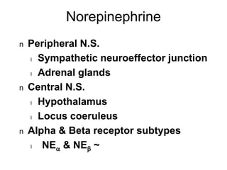 Intro neurology | PPT