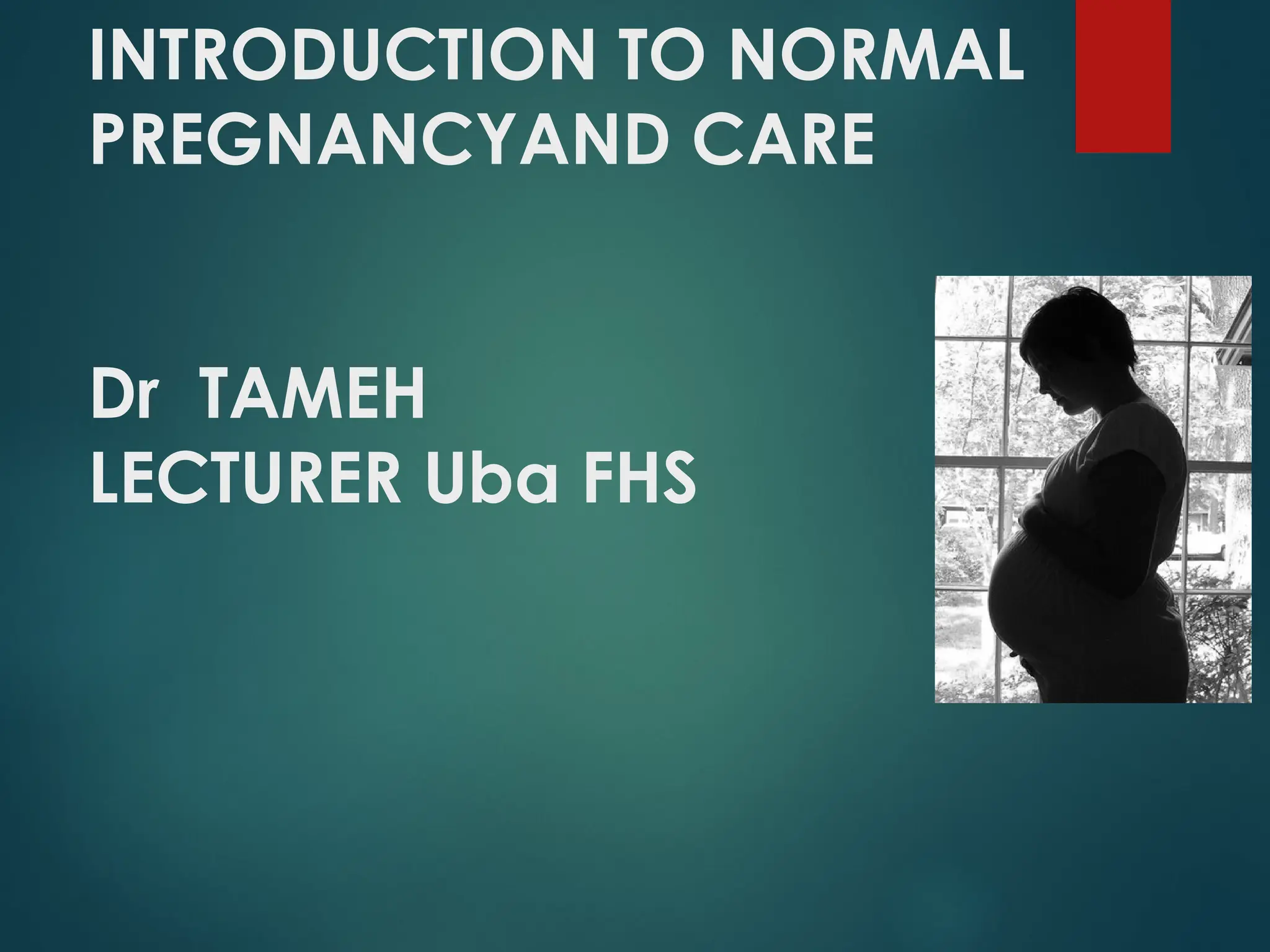 INTRO NORMAL PREGNANCY.ppt2025.for medical sudentsppt | PPT