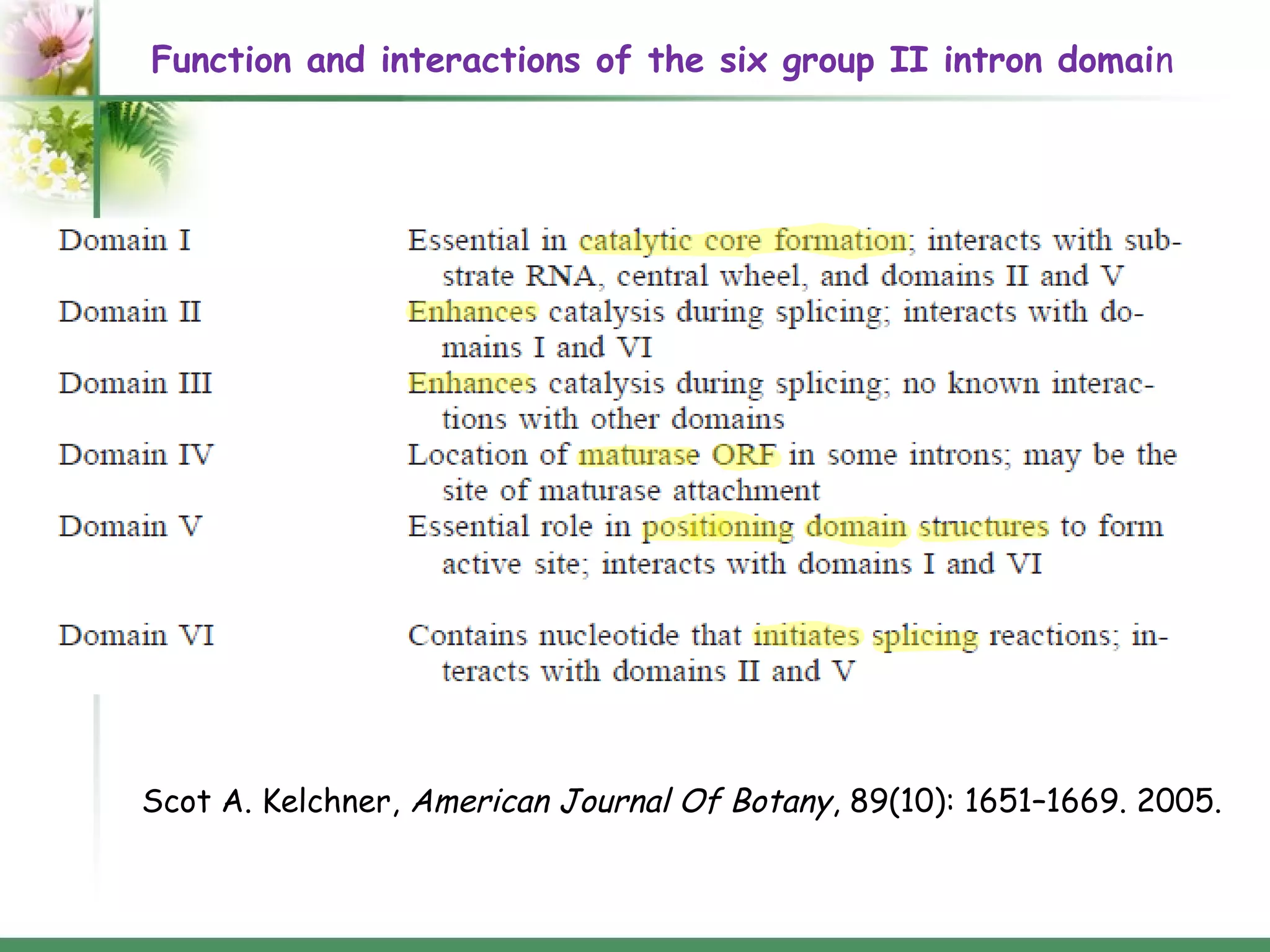 Introns: structure and functions | PPT