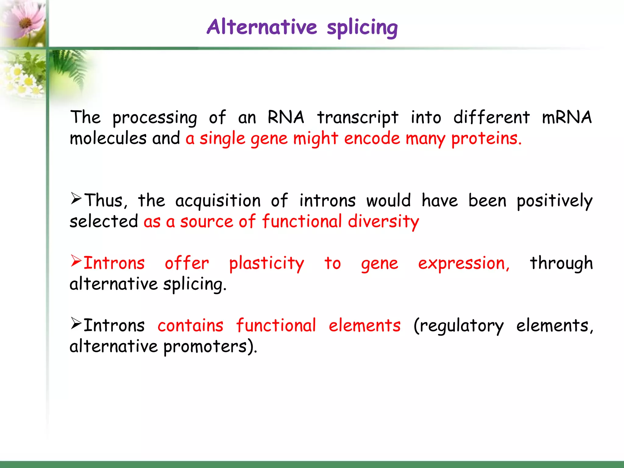 Introns: structure and functions | PPT