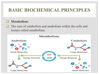 INTRODUCTION OF BIOCHEMISTRY SLIDES.pptx
