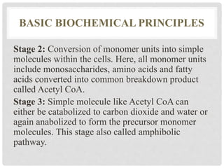 INTRODUCTION OF BIOCHEMISTRY SLIDES.pptx