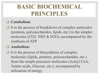 INTRODUCTION OF BIOCHEMISTRY SLIDES.pptx